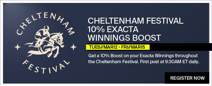 chelt-fest-2024-banner.jpg