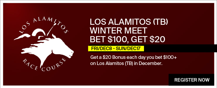 losal-promo-banner-12-8-23.jpg